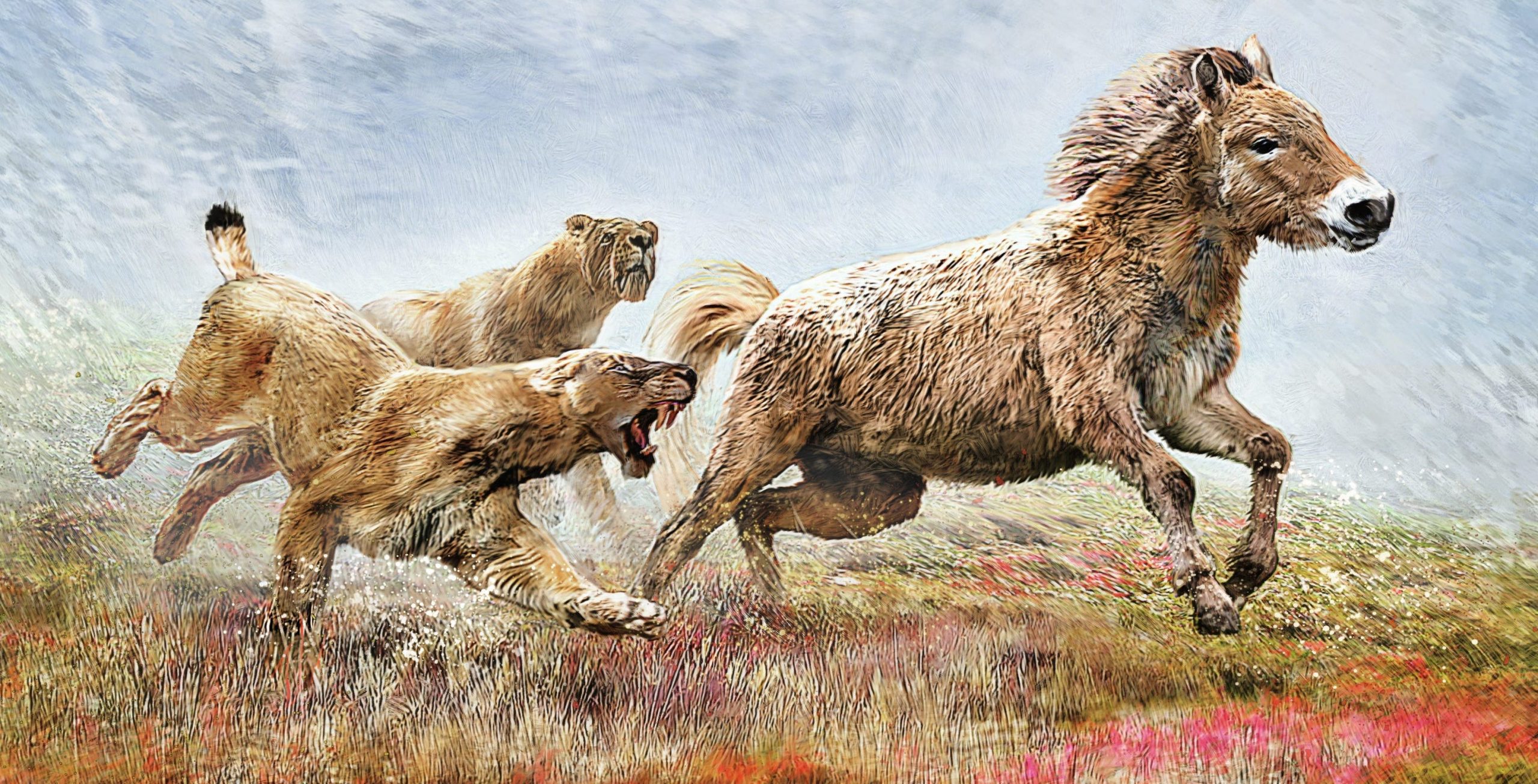 This Ancient Cat with "Steak-Knife Teeth" Walked Alongside Early Humans