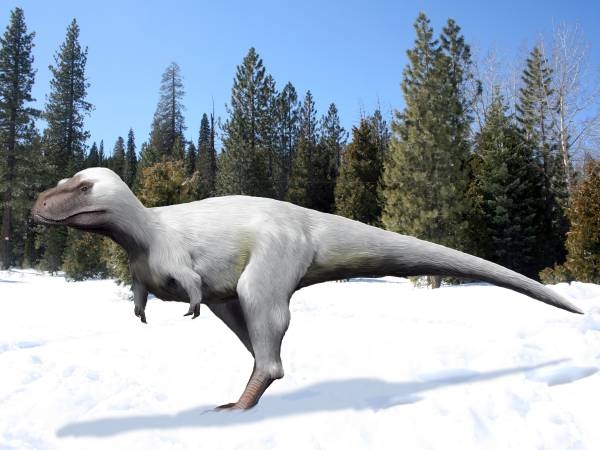 This “Polar Bear Lizard” Once Roamed the Alaskan Wilderness